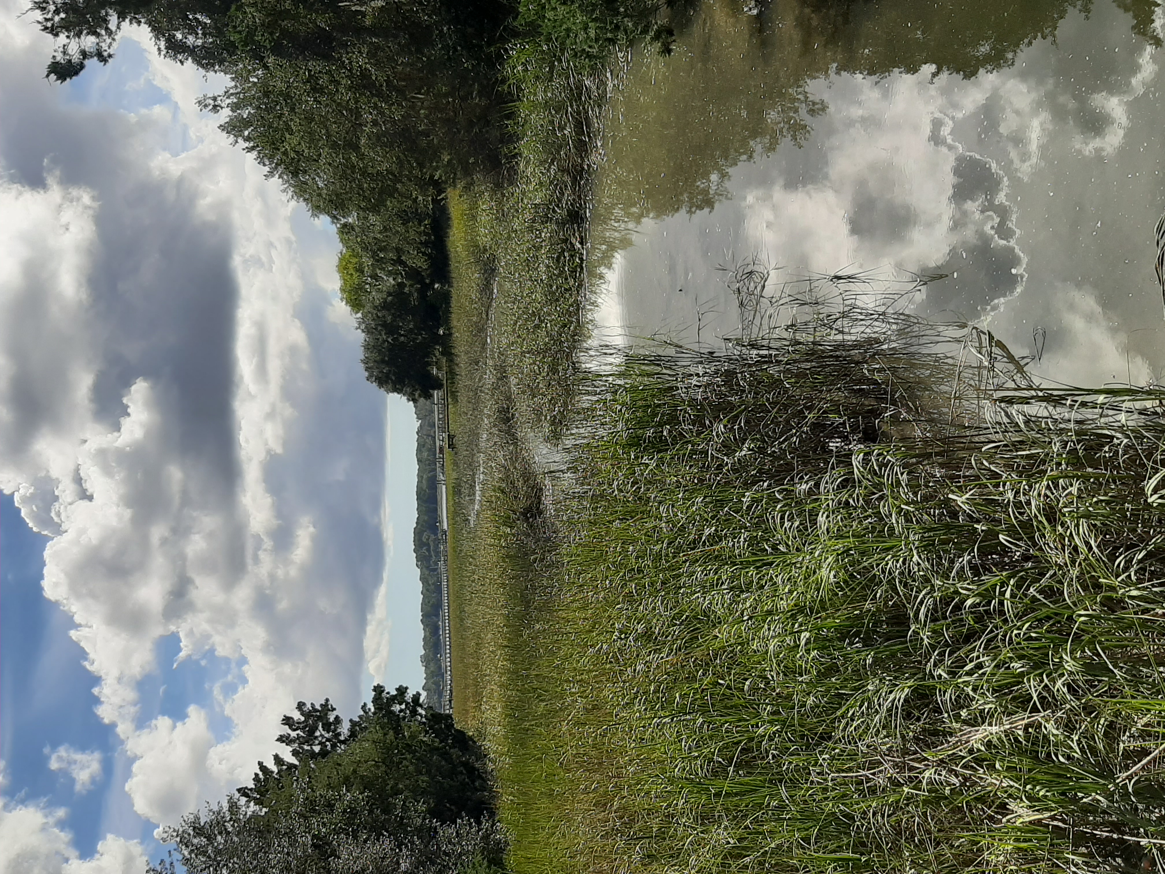 beaufort low country marsh – Mrs. HomeFree